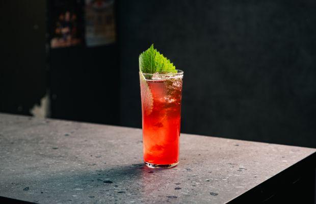 Cat Bite Club | Asia's 50 Best Bars 2025 | Ranked No. 44