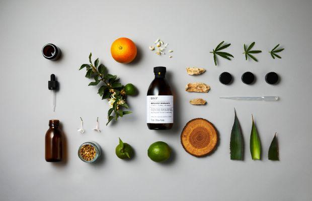 Tayēr + Elementary | The World's 50 Best Bars 2024 | Ranked No. 4