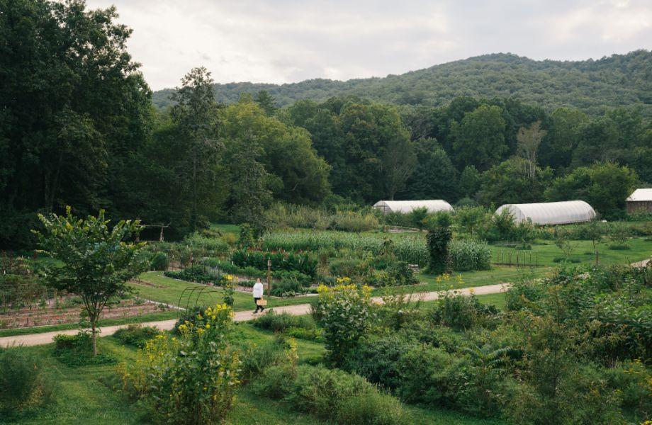 Blackberry Farm - Walland - Hotel - 50Best Discovery