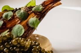 Dill Restaurant - Reykjavík - Restaurant - 50Best Discovery