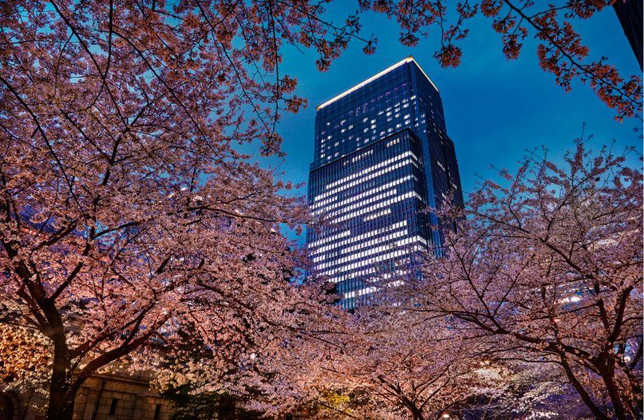 Mandarin Oriental Tokyo - Tokyo - Hotel - 50Best Discovery
