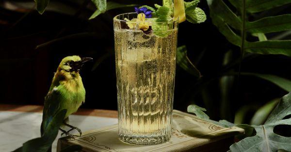 The Haflington - Hanoi - Bar - 50Best Discovery