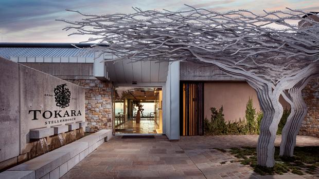 Tokara Wine and Olive Estate - Stellenbosch - Vineyard - 50Best Discovery