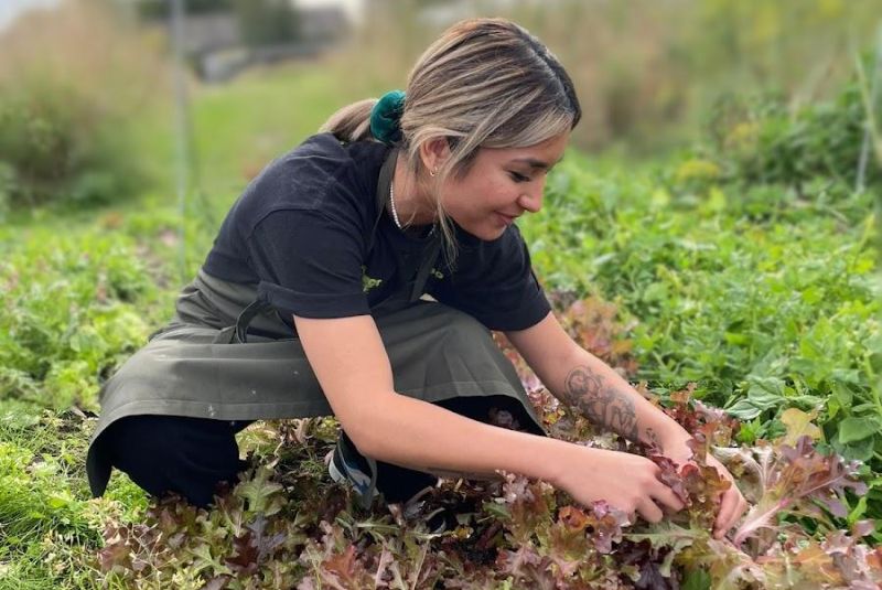 50 Best Restaurants Scholarship: meet the next generation of aspiring chefs