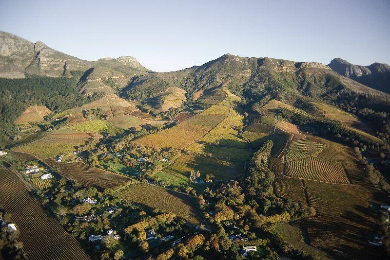 Chilean winery Vik is named the best vineyard in the world