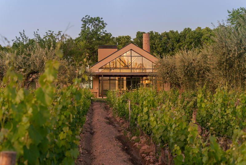 The World's 50 Best Vineyards 2025: the 51-100 list revealed