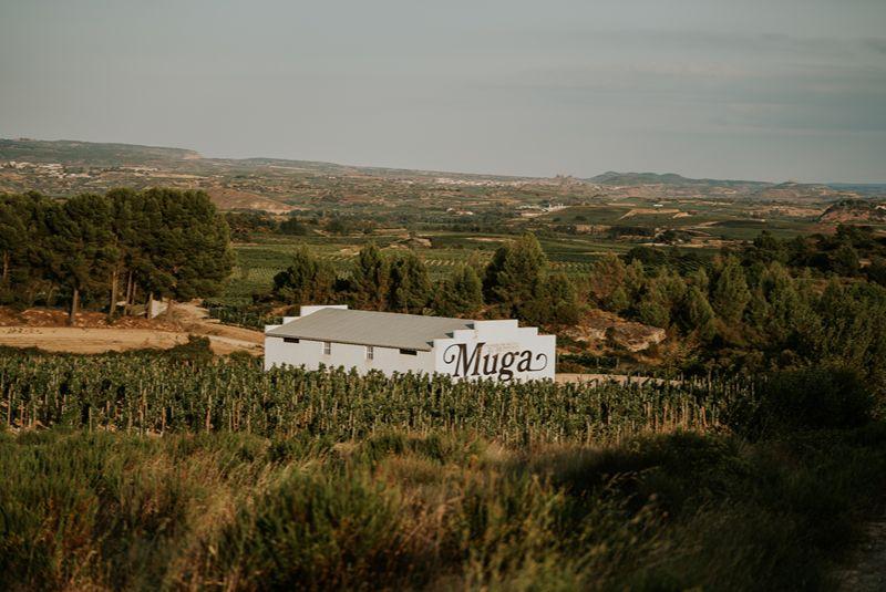 The World's 50 Best Vineyards 2025: the 51-100 list revealed