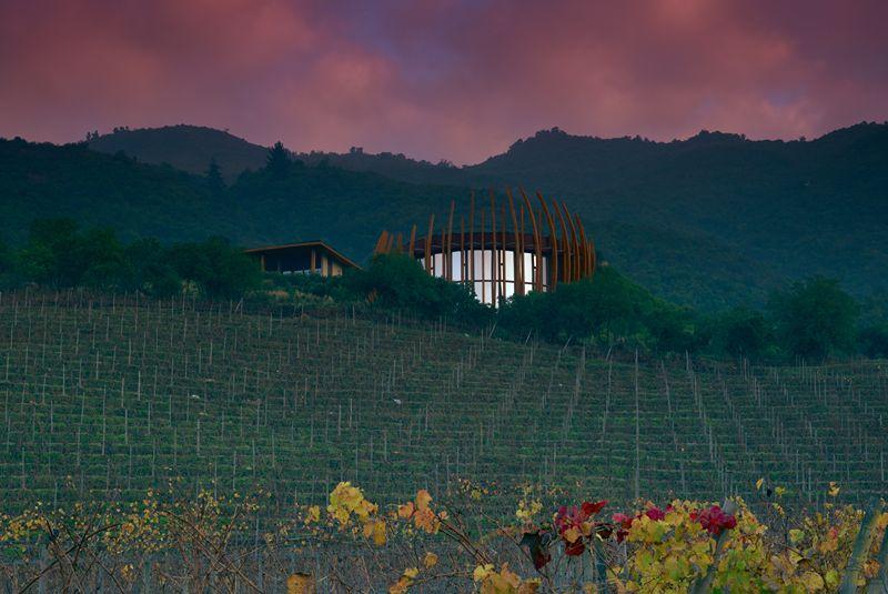 The World's 50 Best Vineyards 2025: the 51-100 list revealed