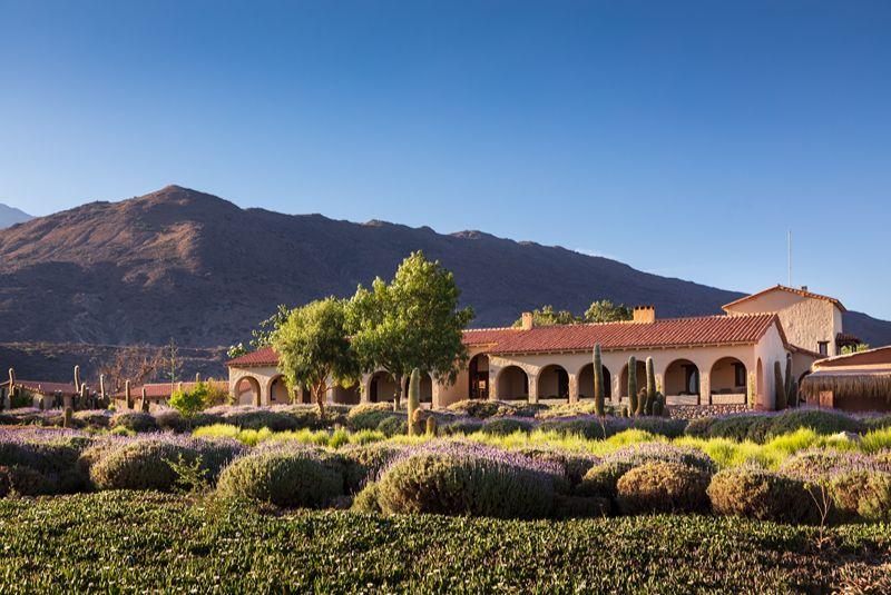 Eat, sleep, wine, repeat – the ultimate vineyard stays