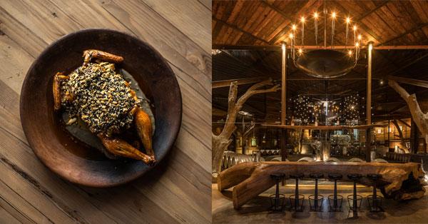 9 reasons why Fauna in Baja California should be one of your dining ...