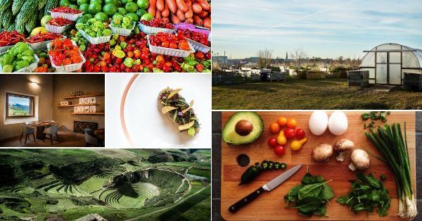 How to cook like the world’s most sustainable chefs in nine easy steps