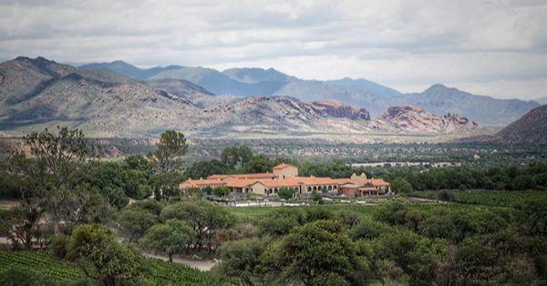 Eat, sleep, wine, repeat – the ultimate vineyard stays